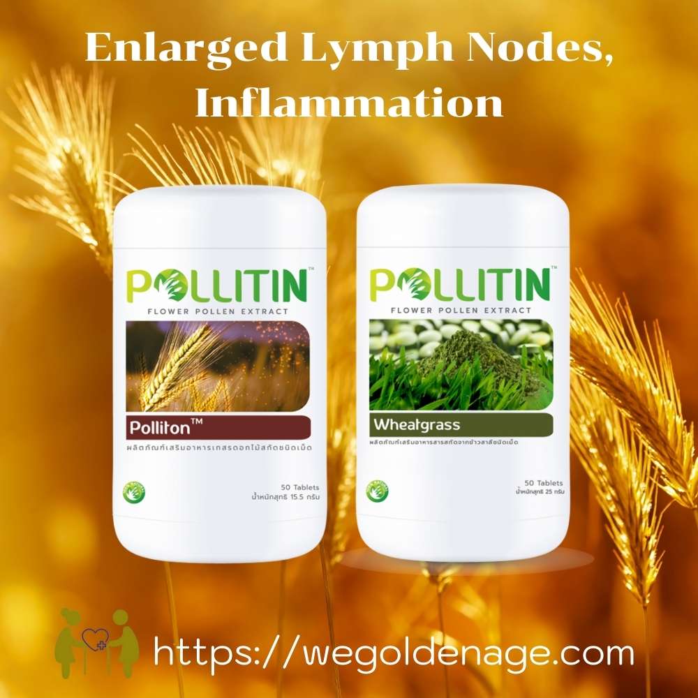 Lymphatic System - We Golden Age